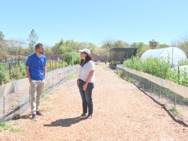 Native Seeds Search: Saving the future by looking to the past