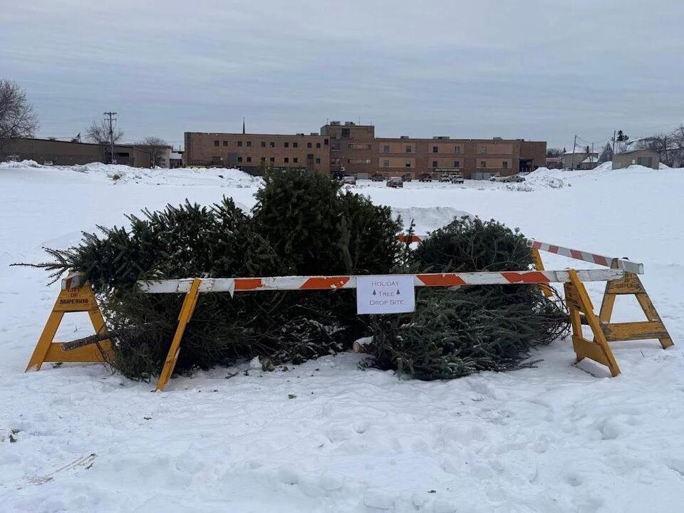 Superior Has a Clever Plan for Old Christmas Trees - NewsBreak