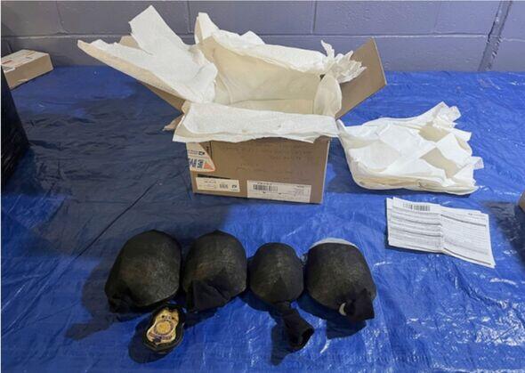 Man caught smuggling 850 rare turtles worth more than $1 million in ...