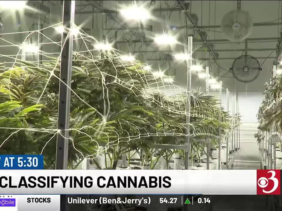 What would reclassification of federal cannabis rules mean for Vermont?