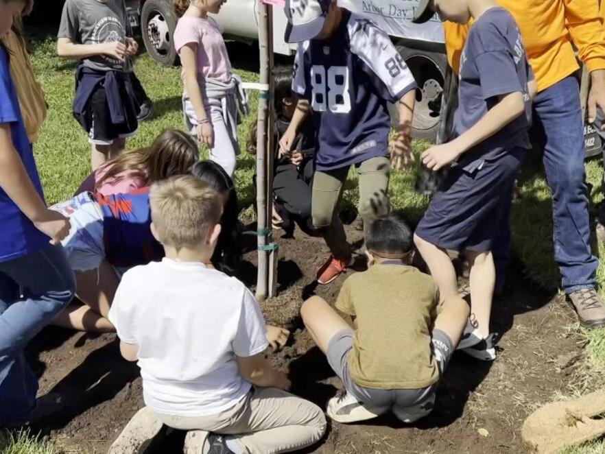 City of Chico recognized itself as a tree city for the 40th consecutive ...