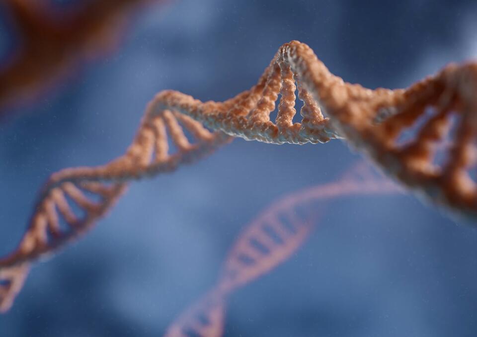 USCIS to Require Officers to Suggest DNA Testing in Some Immigration ...
