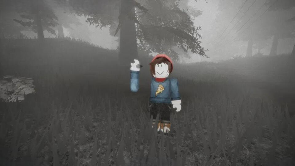 The Skinwalker Roblox Codes (December 2024) - NewsBreak