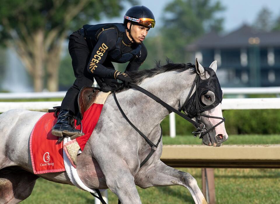 D.J. Stable To Send Sandman, Ewing To Ocala To Be Reevaluated - NewsBreak