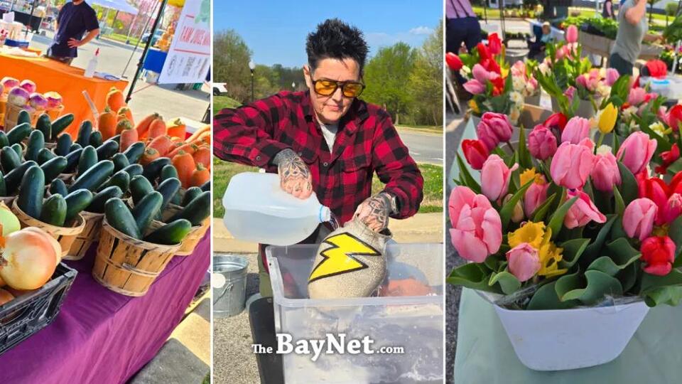 La Plata Farmers Market Opening Day Draws Big Crowds, Familiar Faces ...