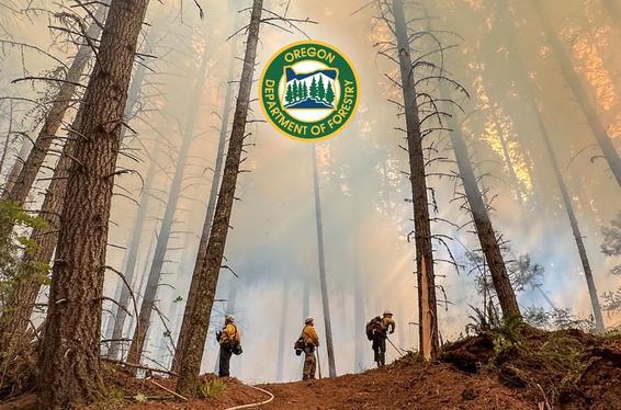 Oregon Department of Forestry declares fire season - NewsBreak