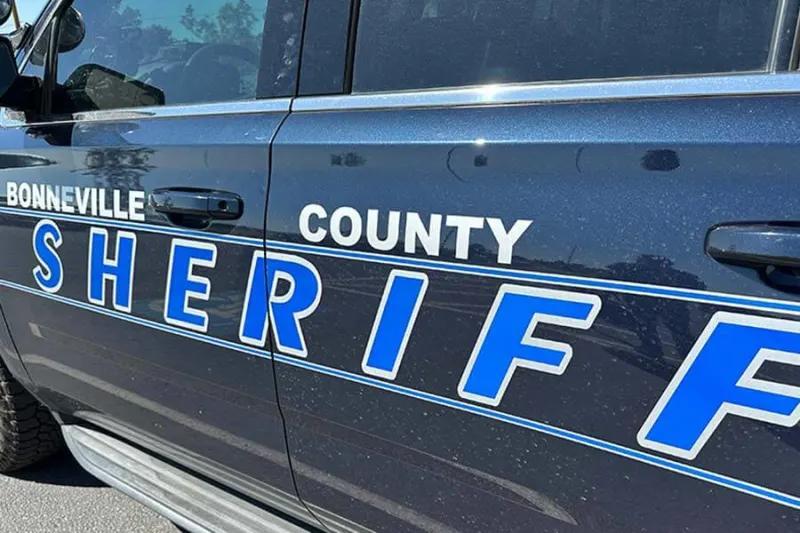 Woman trying to stop traffic is hit by vehicle, thrown into canal ...