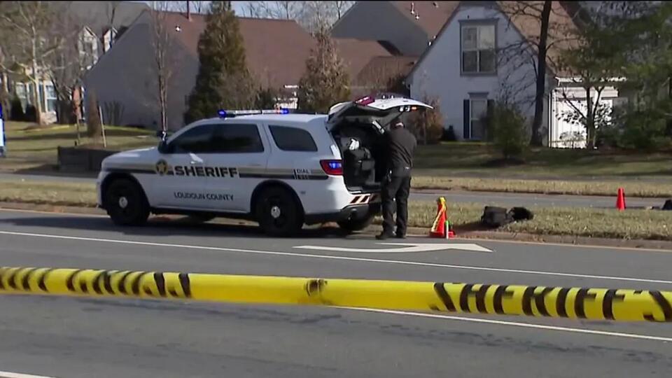 Student at Ashburn's Stone Bridge HS struck and killed while crossing ...