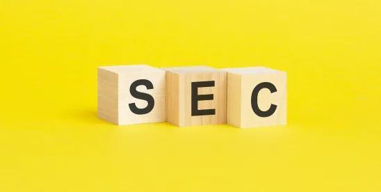 SEC Updates Proxy Rules and Schedules C&DIs - NewsBreak