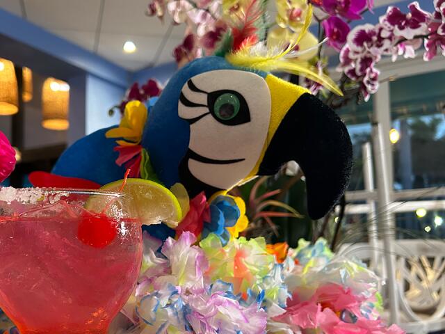 How Delray Beach is celebrating Jimmy Buffett Day - NewsBreak
