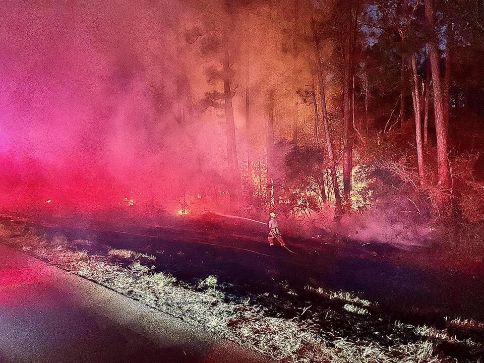 The risk of wildfires remains high in Louisiana, says state Agriculture ...