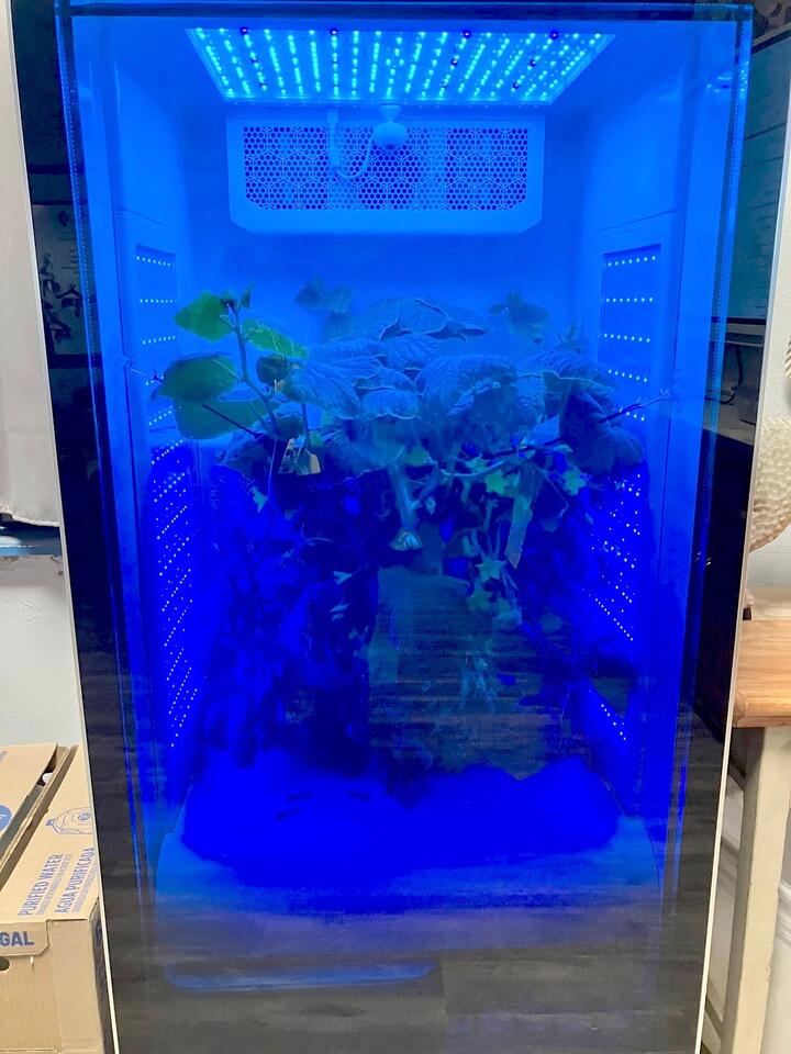 🌱 Marksville High FFA Innovates Agriculture with AI-Powered Grow Lab! 🚀 ...