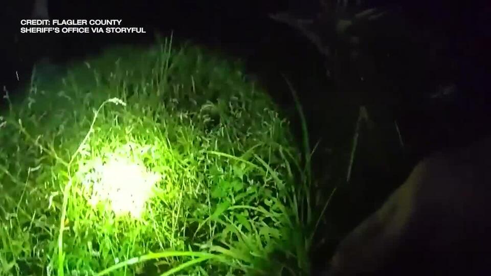 VIDEO: Lost Florida man rescued in swamp after dark - NewsBreak