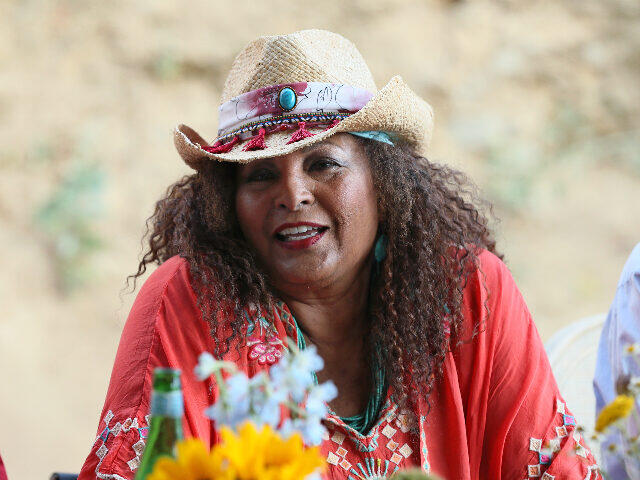 ‘The View’ Fact Checked After Actress Pam Grier Recalls Growing Up in ...