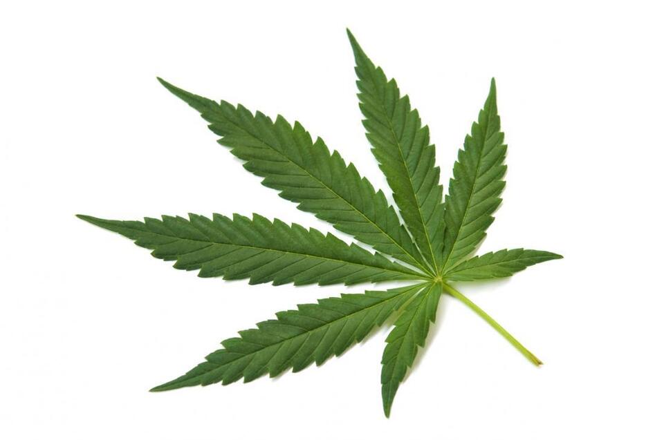 Massachusetts Secretary of State Approves Initiatives to Repeal ...