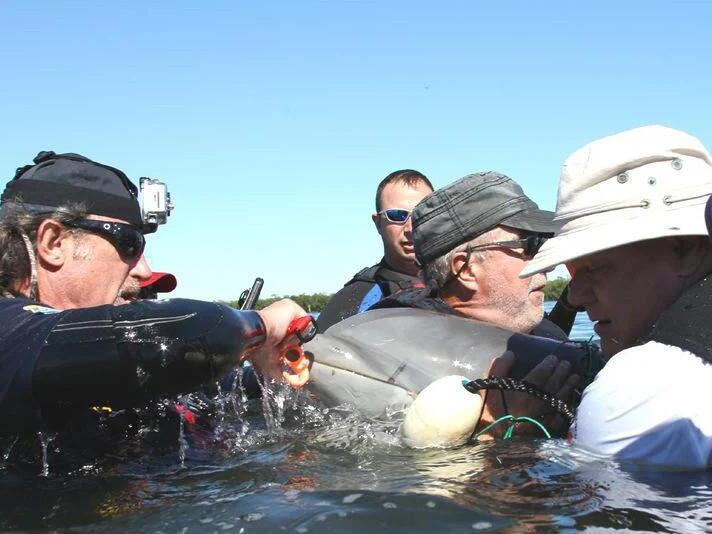 Village council approves dolphin hospital