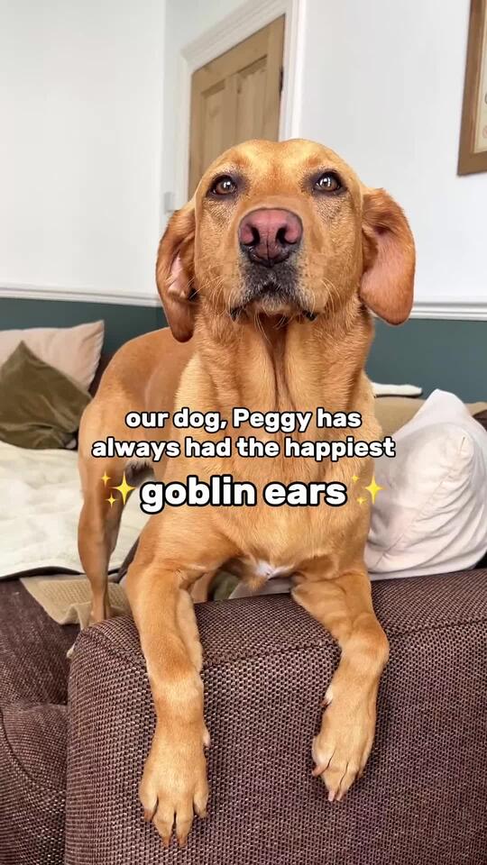 which goblin is your favourite happy goblin girl monday pals! Its our ...