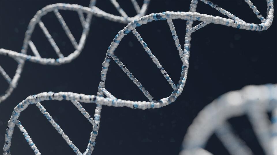 How Ancient DNA Fragments Are Reshaping Dinosaur Evolution - NewsBreak
