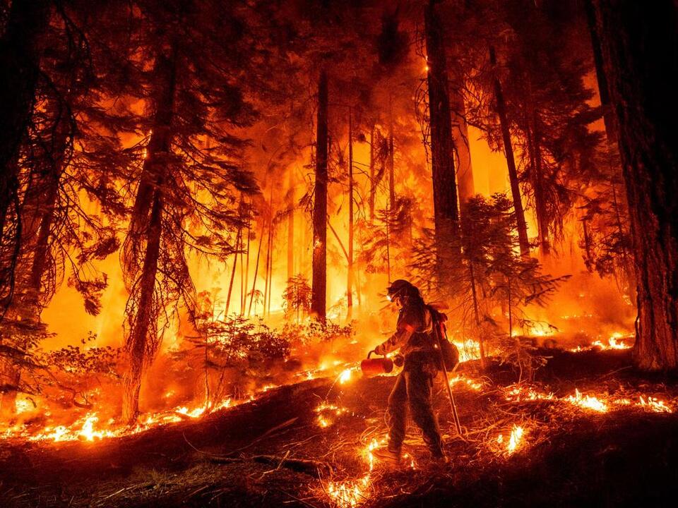 Huge California wildfire chews through timber in very hot and dry weather