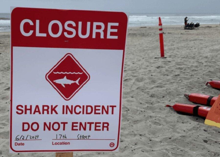 Del Mar, Calif., beaches closed following shark attack - NewsBreak