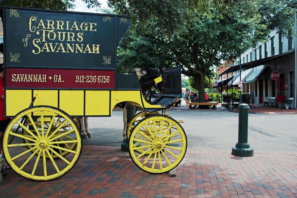 Savannah carriage operators sue city over 85 degree horse tour cutoff ...