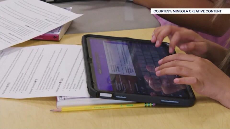 Mineola schools superintendent suspended after investigation into ...