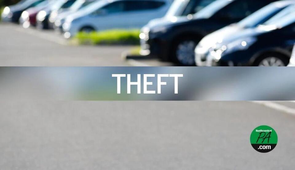 Pickpocket steals wallet, charges over $4,000 on stolen cards - NewsBreak