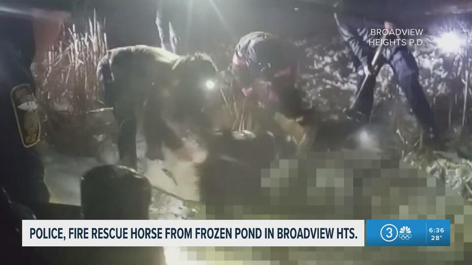 First responders rescue horse trapped in frozen pond in Broadview ...