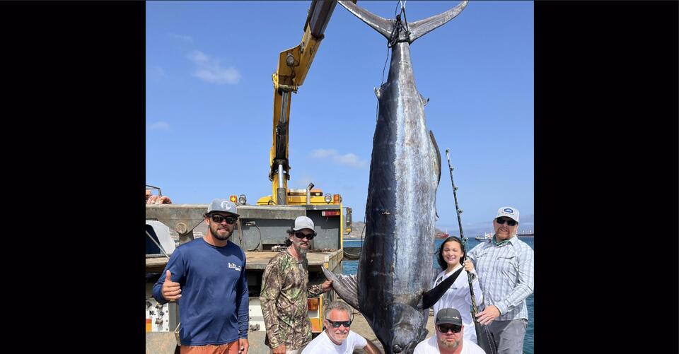 12-Year-Old Girl Catches Pending World-Record Blue Marlin Off West ...