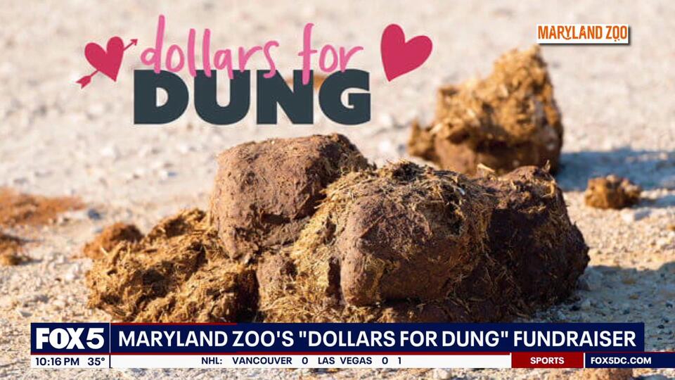 Maryland Zoo will name a pile of animal poop after your ex as part of ...