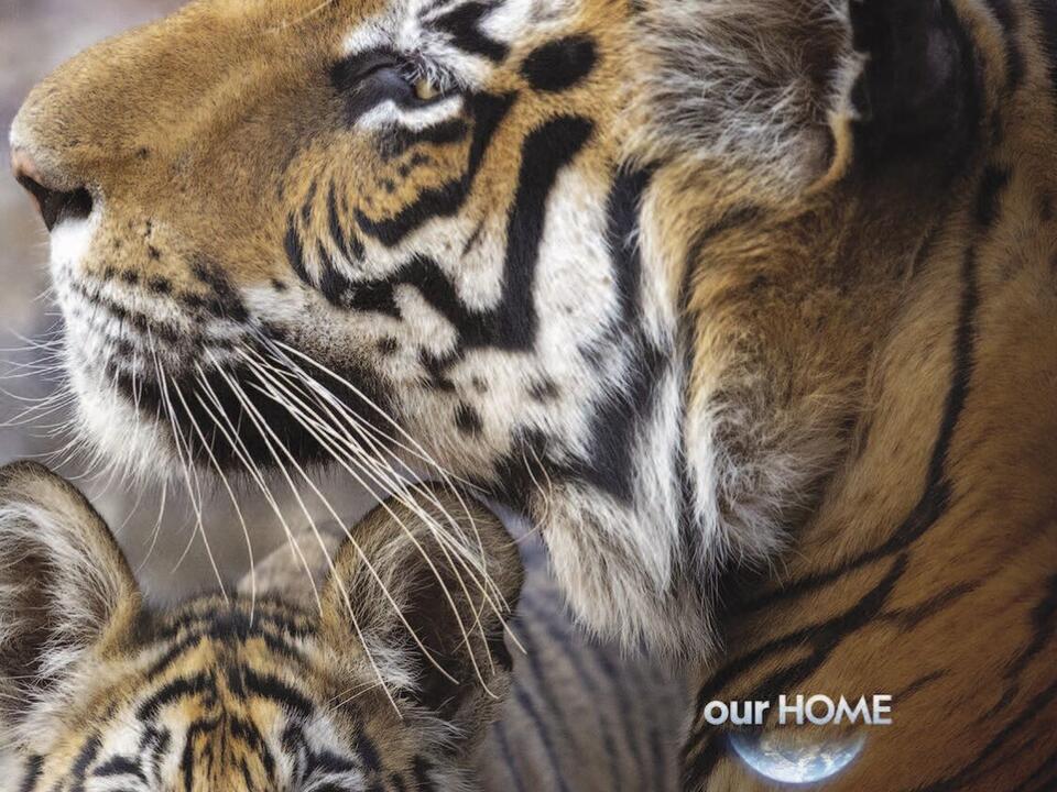 What to watch: The must-watch things to stream this week, Apr. 19 - Apr ...