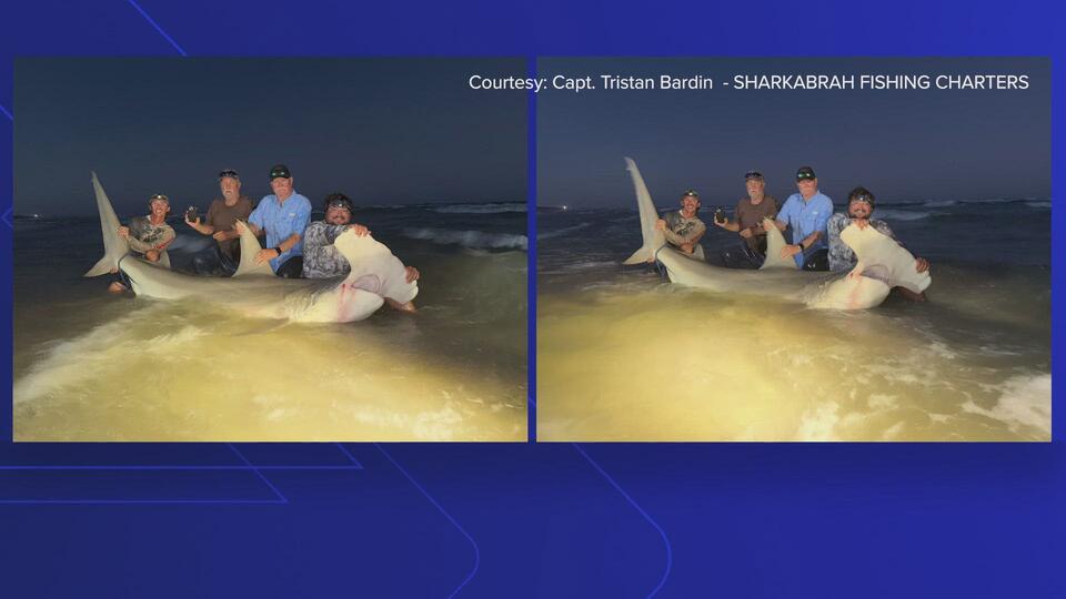 Nearly 11-foot hammerhead shark caught south of Bob Hall Pier on Texas ...