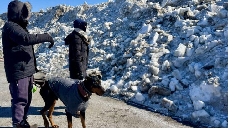 20-Foot High Snowcrete Towers Over RFK Site in DC After Last Week’s ...