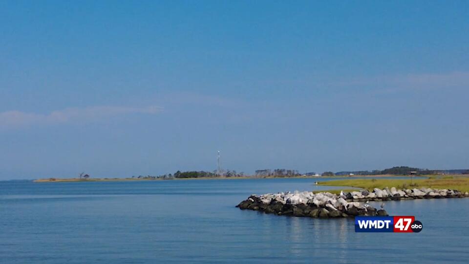 Charles Dean and Bloodsworth Island, a story about family lineage and ...