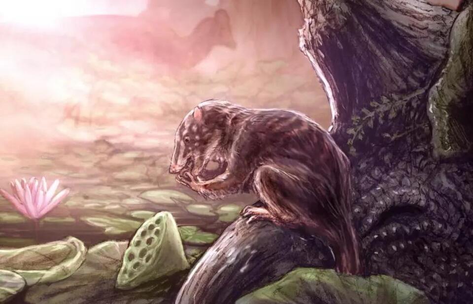 New Species of Prehistoric Swamp Creature Found in Colorado - NewsBreak