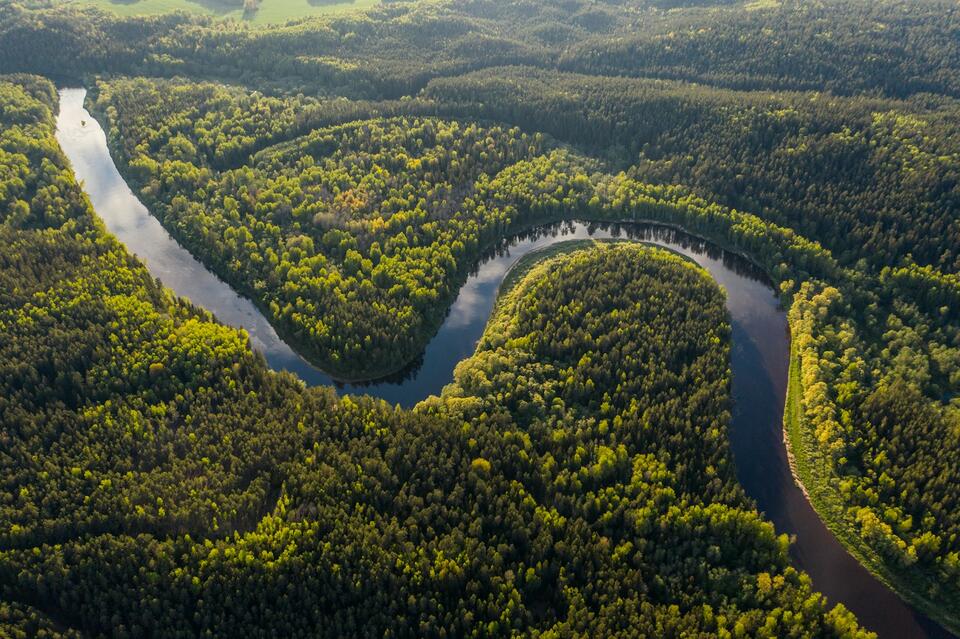 The Amazon Rainforest: A Biodiversity Hotspot in Danger - NewsBreak