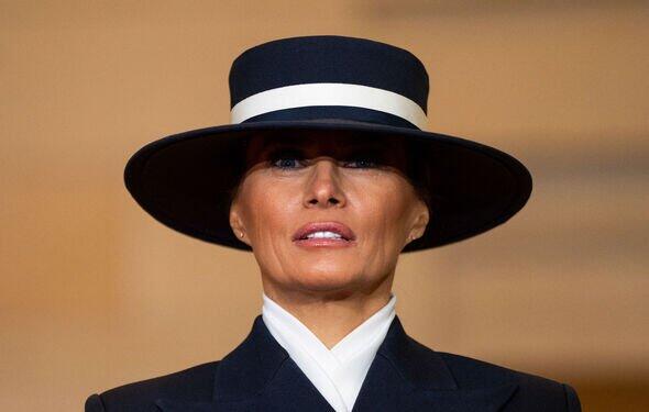 Hefty price of Melania Trump's inauguration dress revealed ahead of ...