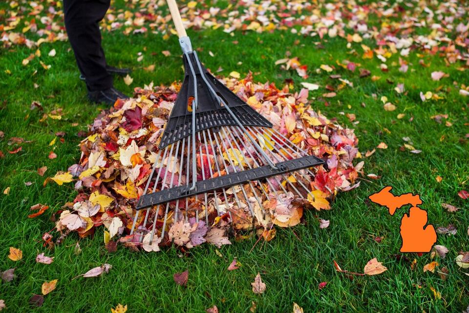 The Common Leaf Mistake Michigan Homeowners Make That Can Lead to a ...