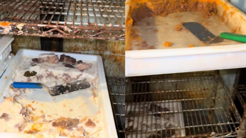 Washington Woman Served Awful Meal at Mexican Restaurant, Sneaks Into ...
