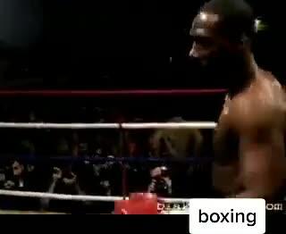 Boxing - NewsBreak
