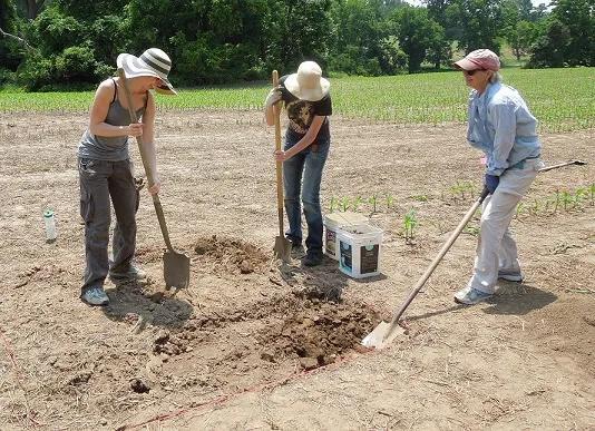 Diggers Wanted: New Mexico Archaeology Field Training Program now ...