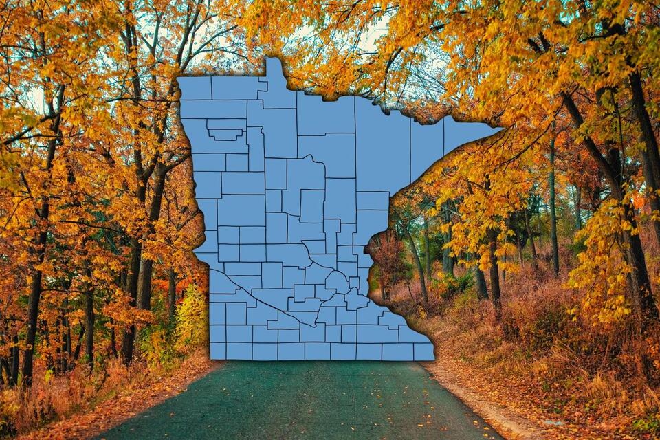 Minnesota's 2025 Fall Leaf Color Tracking Map Is Live Now! - NewsBreak