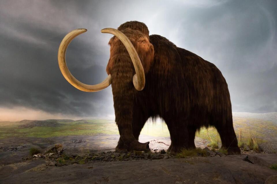 Mammoths in the Mud: What Permafrost Is Preserving for Future Science ...