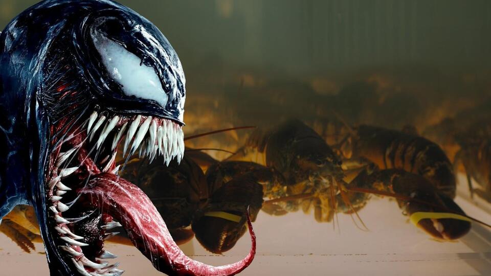 You Can Now Own One Of The Screen-Used Lobsters From 2018's VENOM Movie ...