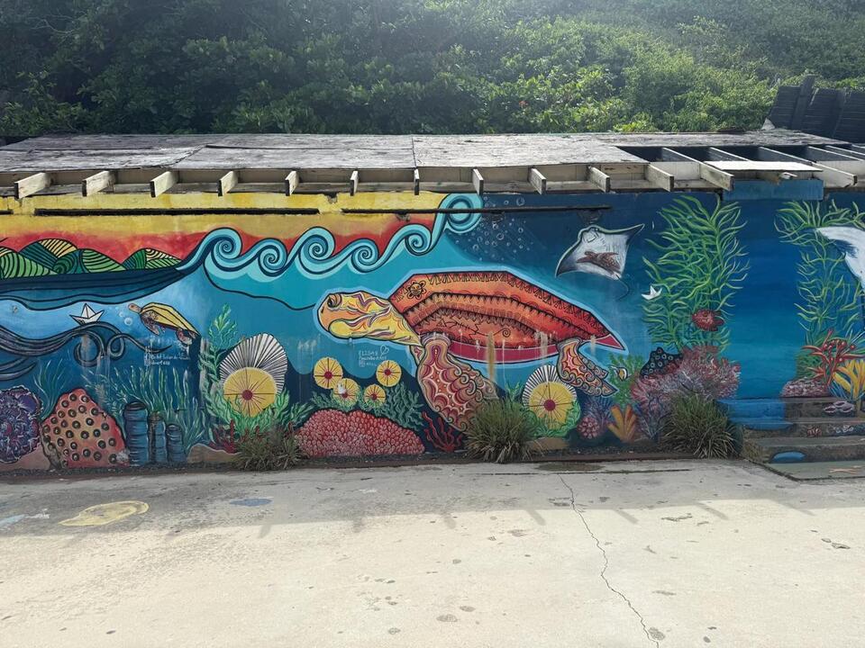 Things to do on the West Coast of Puerto Rico: Beaches, Culture and ...