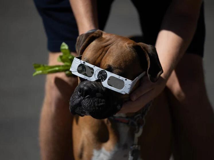 Cloudy eclipse weather got you down? Here's how you can still ...