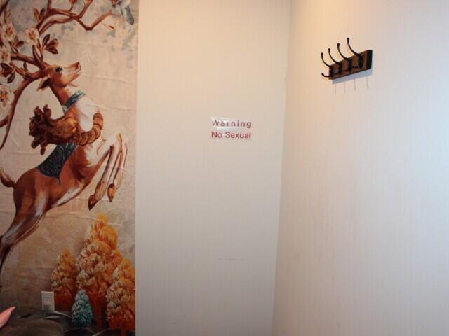 Romeo massage parlor busted for alleged prostitution; 1 person arrested ...