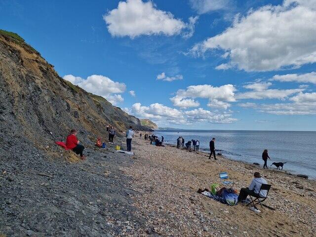 Ireland’s Hidden Fossil Beds: Traces of Ancient Sea Creatures in the ...