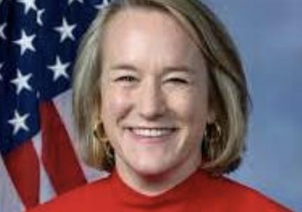 Budzinski Leads Call for Illinois to Receive Rural Health ...