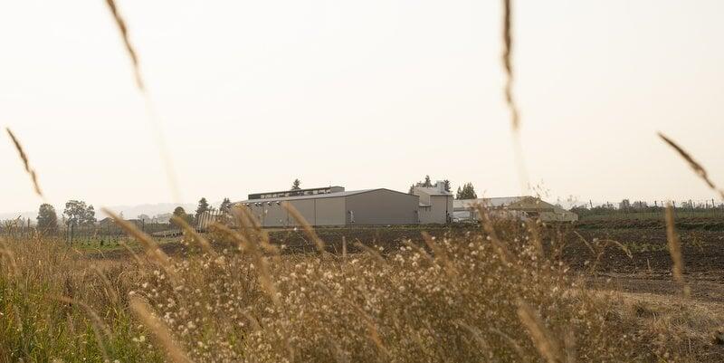 Regenerative Roots: Westwood Farms debuts new brand focused on ...
